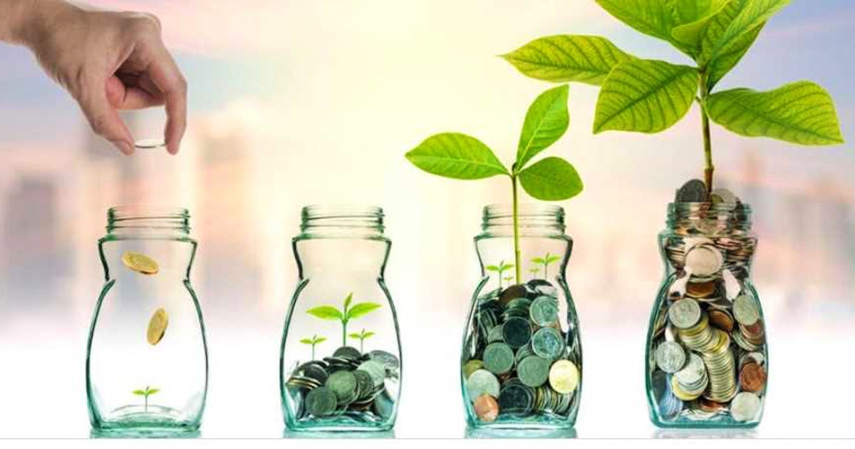 Wealth Creation: The Importance Of Diversification. - ofthefreemarket.com
